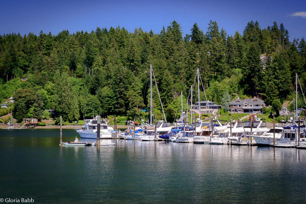 Gig Harbor Washington - Carl Peterson
