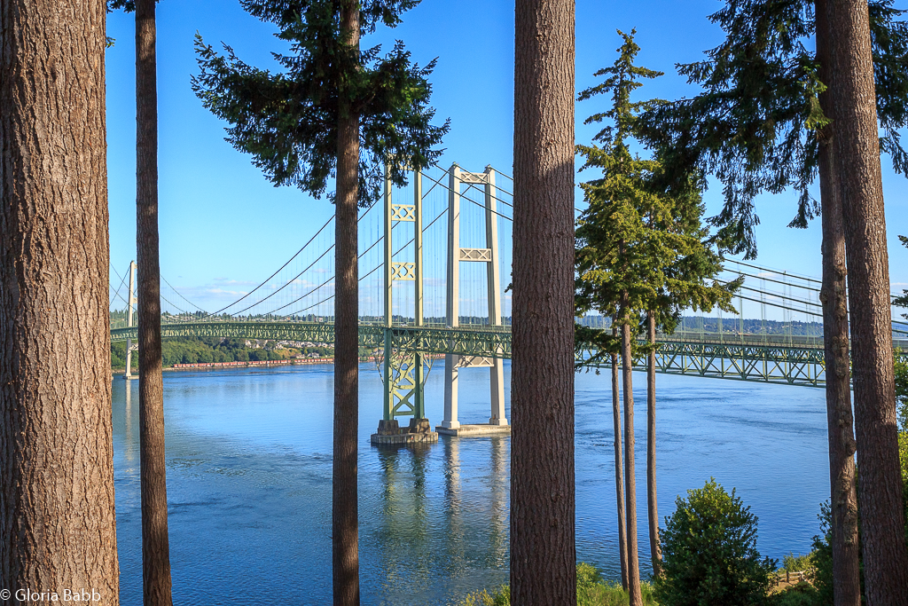 Gig Harbor Washington - Carl Peterson